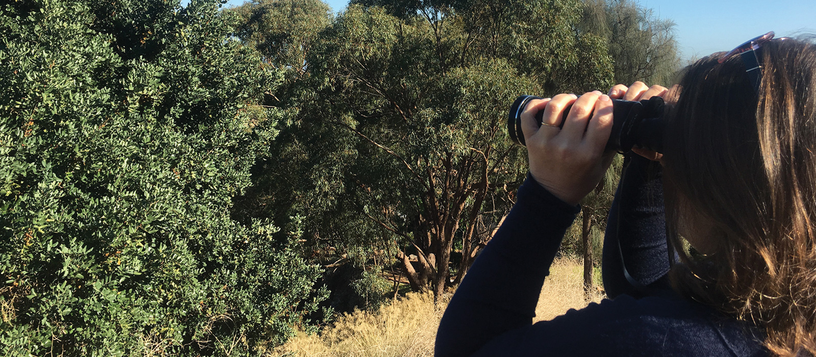 Discovery-Circle-Birding-the-Burbs-project-1 – Australian Citizen ...