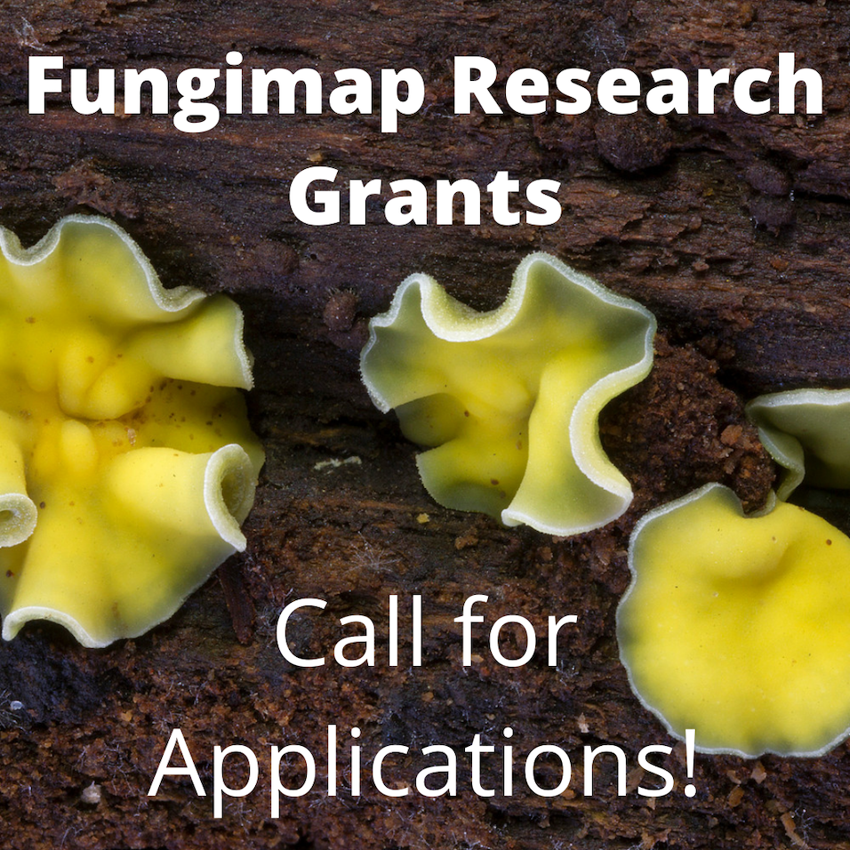Fungimap Research Grants open! – Australian Citizen Science Association